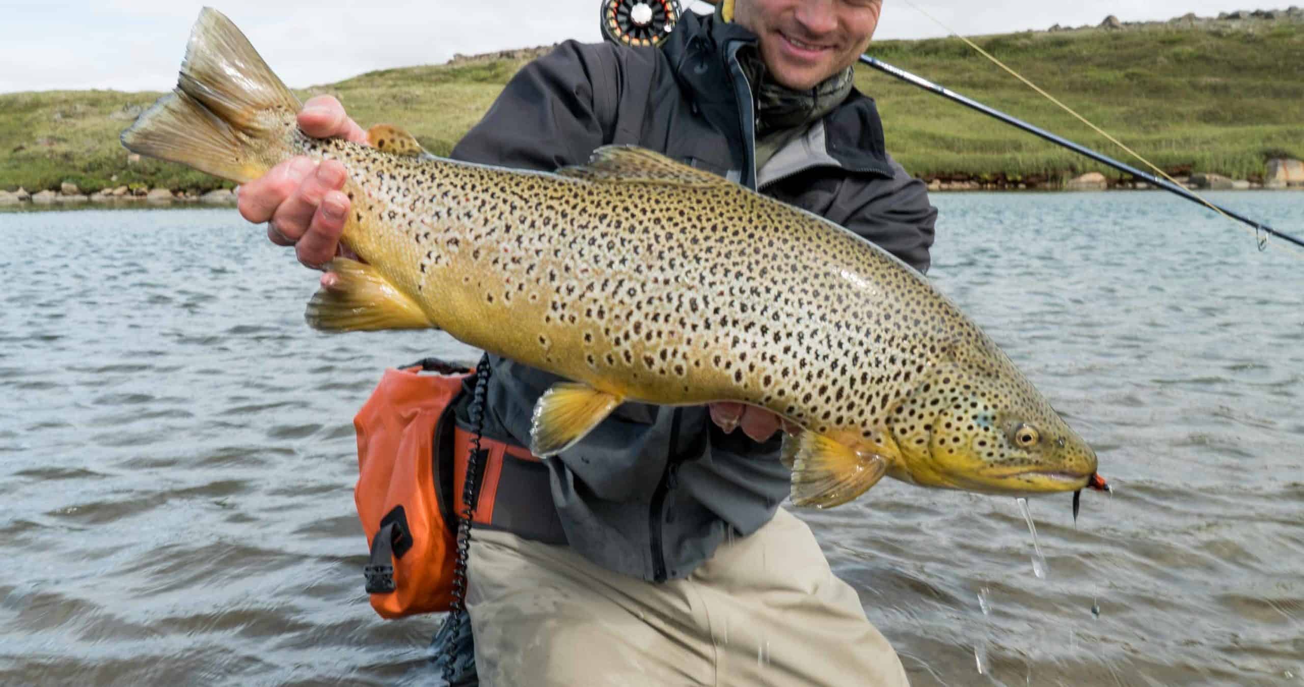 Norðlingafljót - Fish Partner Veiðifélag- Arnarvatnsheiði