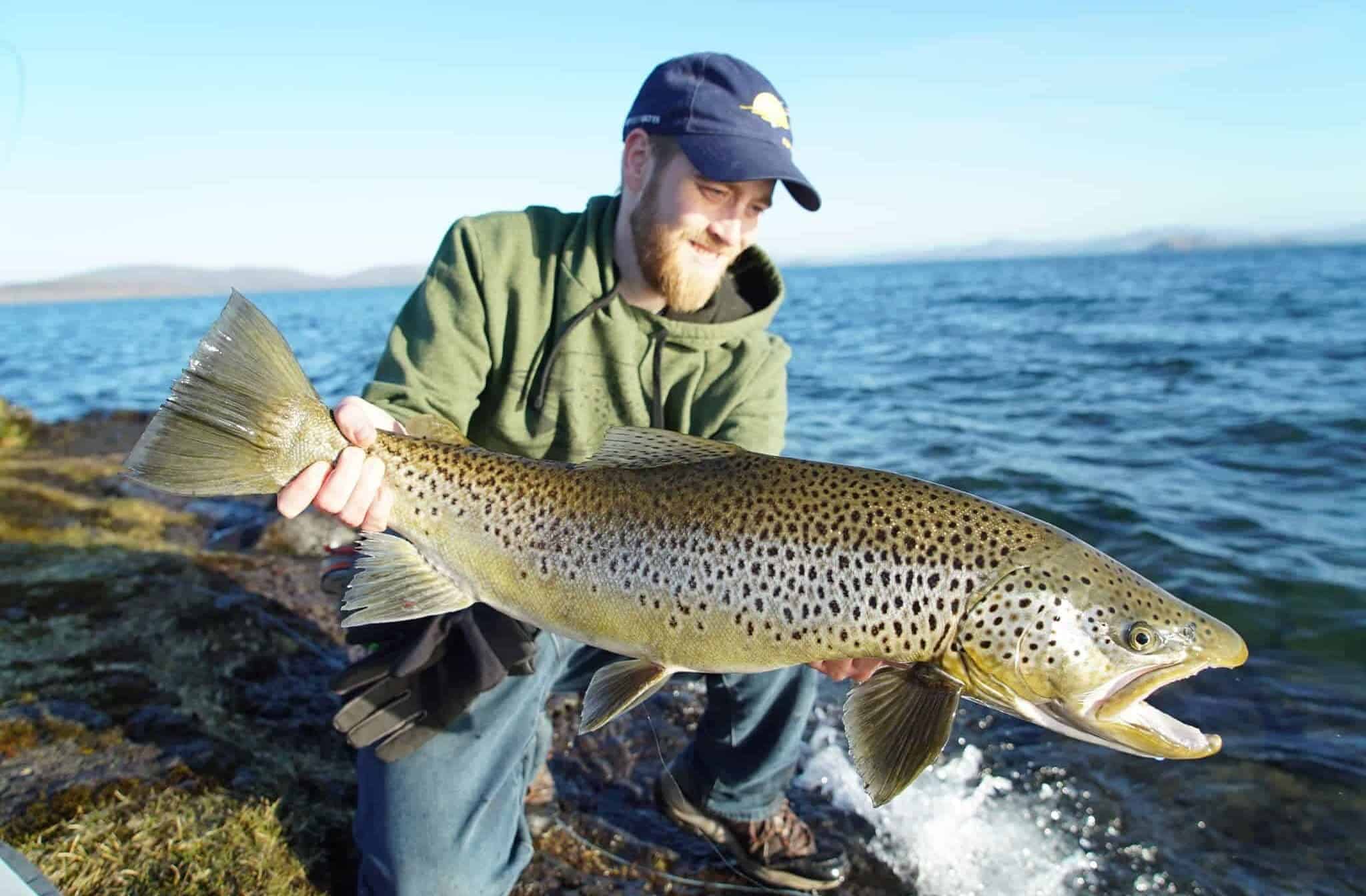 Þingvallavatn-Kárastaðir 14. ágúst 2024 - Fish Partner