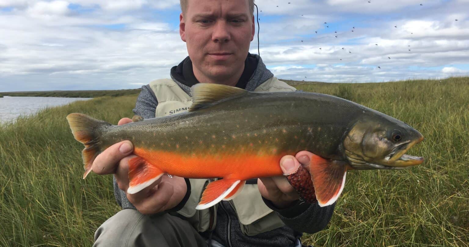 Arnarvatnsheiði til Fish Partner! - Fish Partner